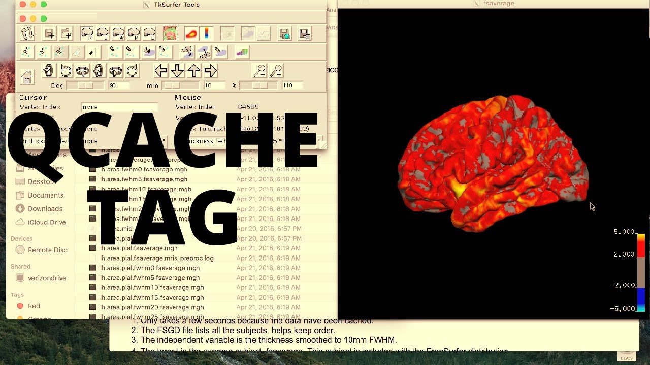 Freesurfer Qcache Command Youtube