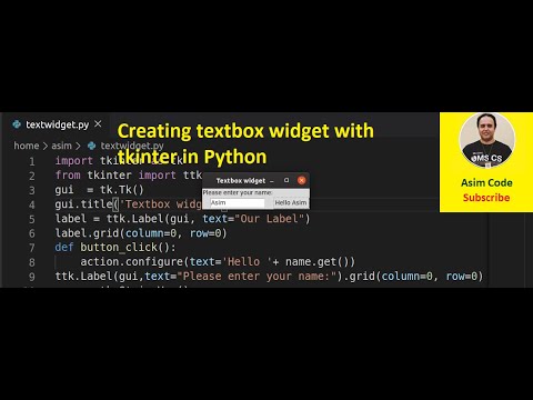 Tkinter How To Custom Button And Text Box Using Python