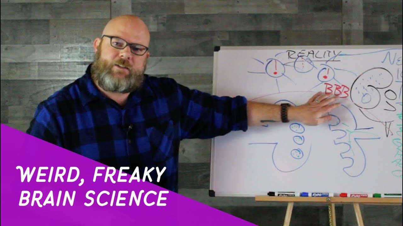 Weird Freaky Brain Science Youtube