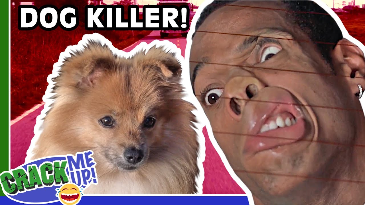 Dog Killer White Chicks Youtube
