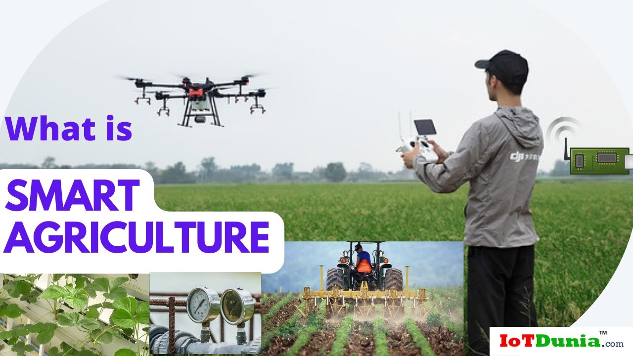 What Is Smart Agriculture Understanding The Smart Farming Iotdunia