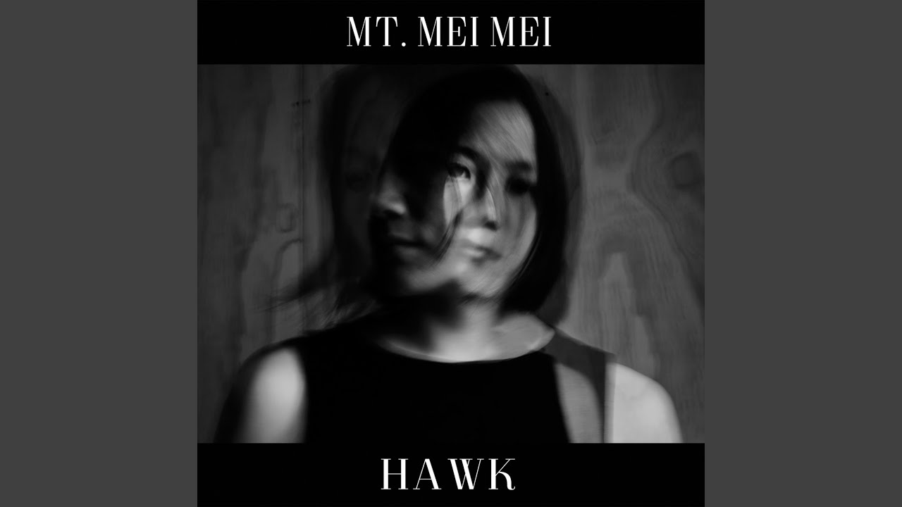 Hawk Demo Youtube