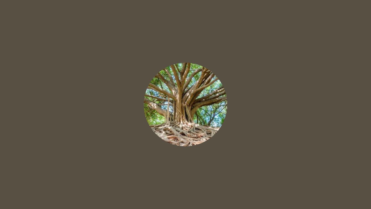 Class 3 Youtube