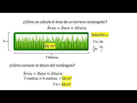 Ejemplo Ecuación área De Un Terreno Rectangular Youtube