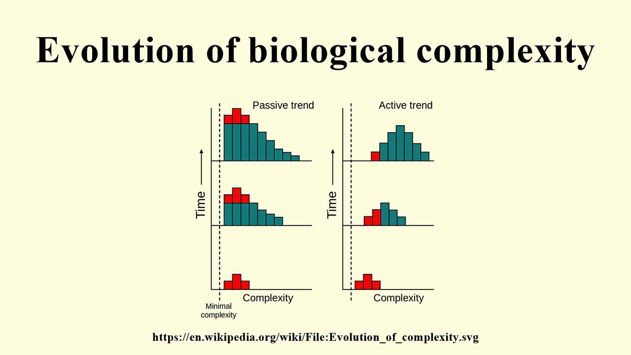 Evolution Of Biological Complexity Youtube