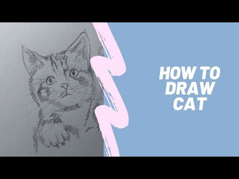 How To Draw Cat Cara Mudah Lukis Kucing Youtube