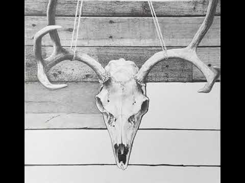 Artist Pencil Drawing Time Lapse Deer Skull Youtube