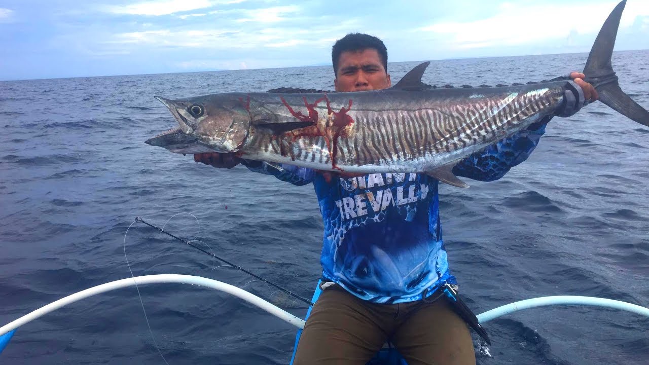 King Mackerel On Vertical Jigging Youtube
