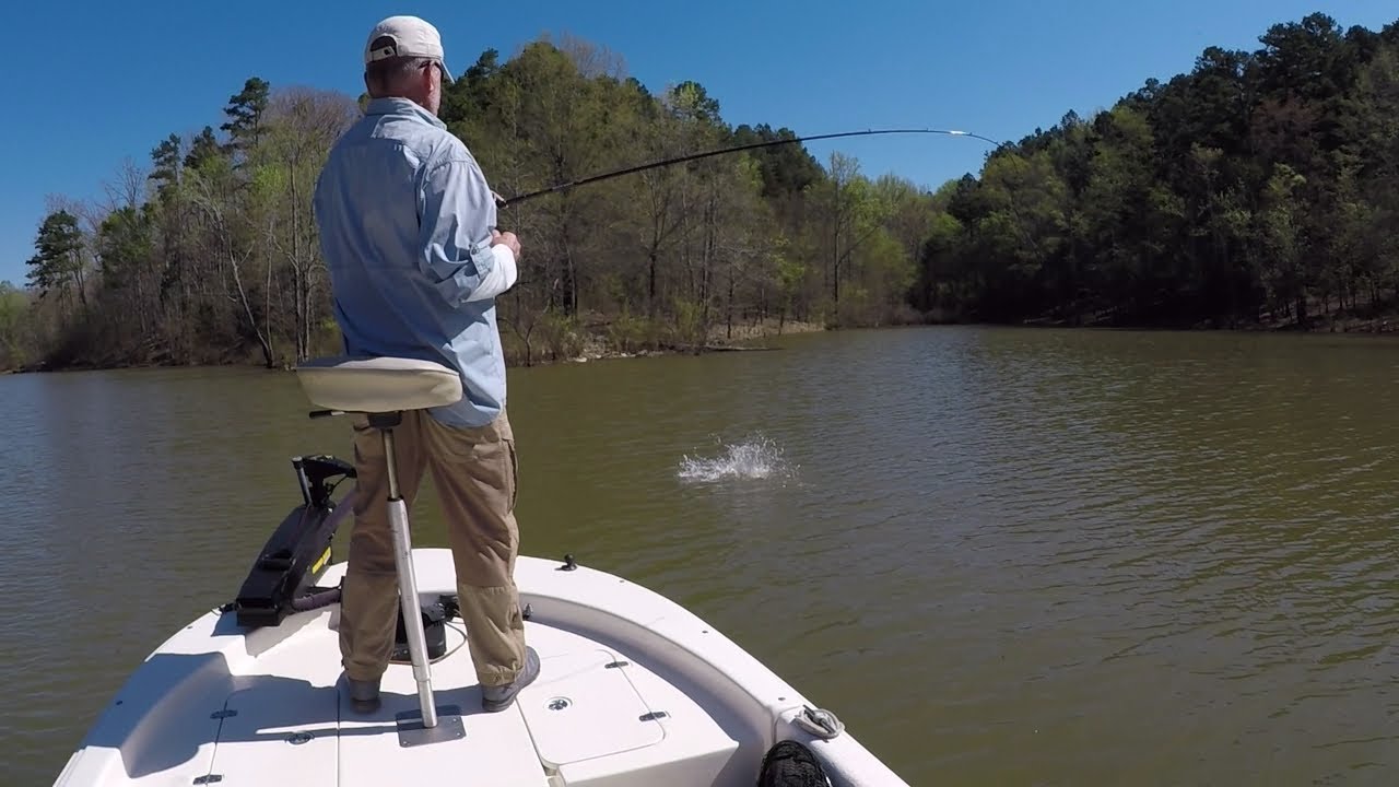Spring Bass Fishing Youtube