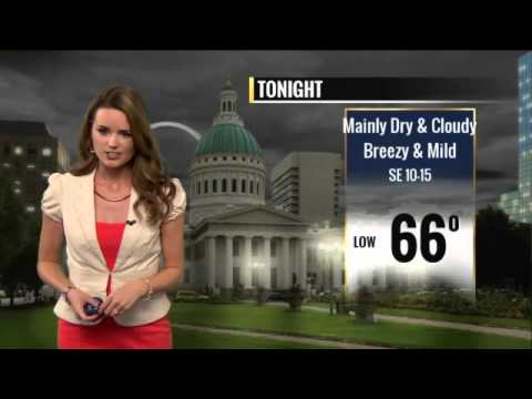 Anne Elise Parks On Fox 2 Meteorologist News Anchor Reporter Youtube