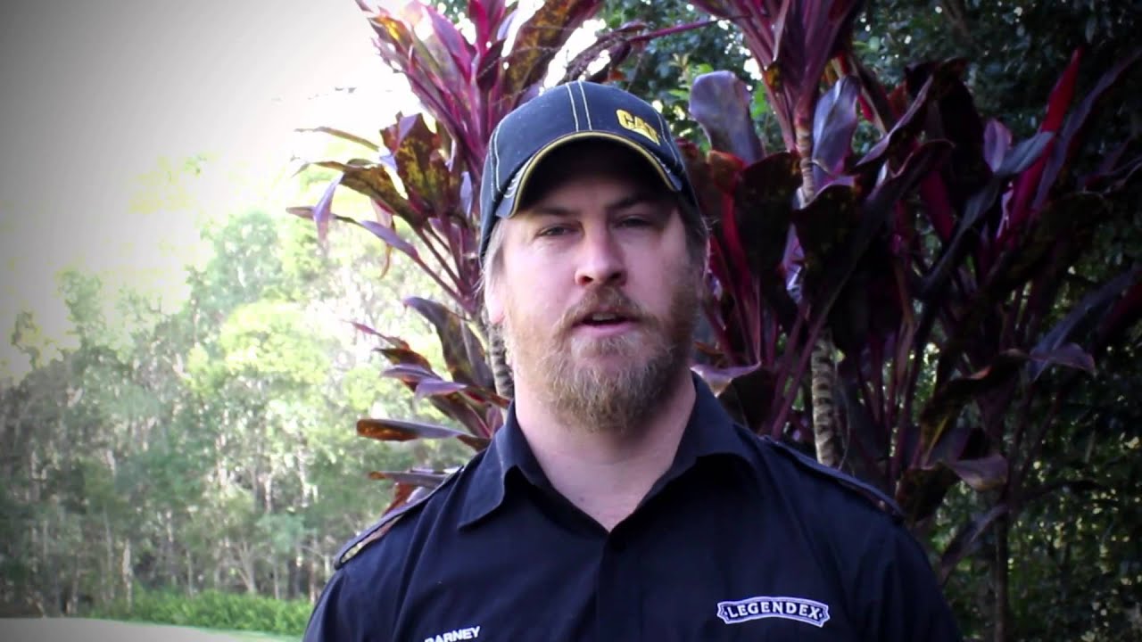 Steve Wanmer Client Testimonials Youtube