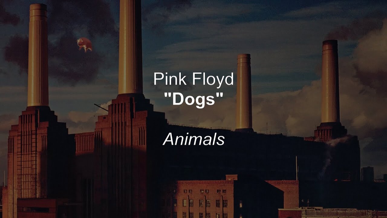 Pink Floyd Dogs Lyrics Youtube