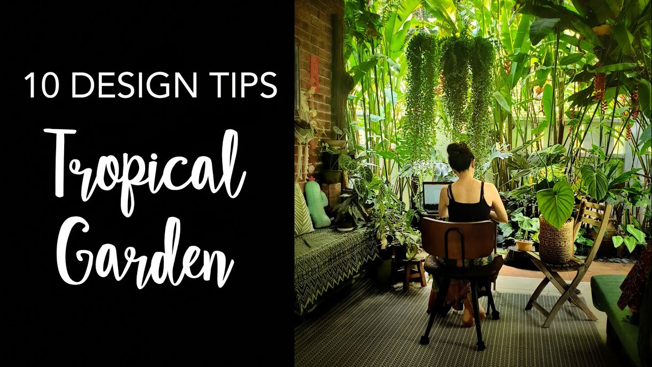 How To Create A Tropical Garden 10 Tips To Transform Your Garden