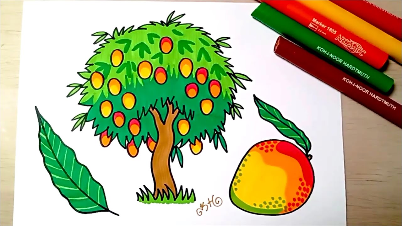 Mango Tree Drawing Simple At Billy Dendy Blog