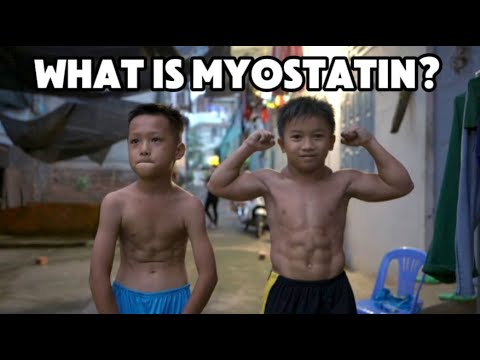 The Secret For Muscle Growth Myostatin Deficiency Youtube