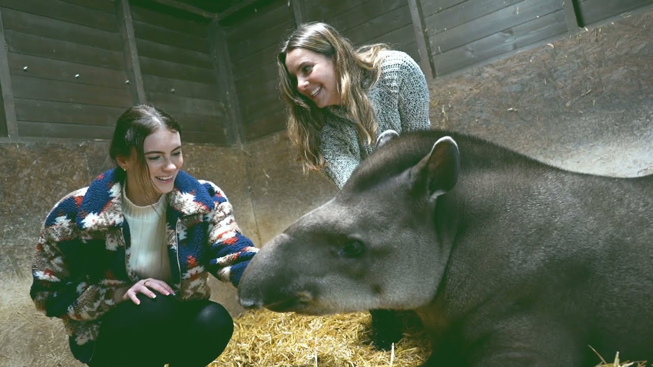 Experience Animal Encounters At Reaseheath Mini Zoo Youtube