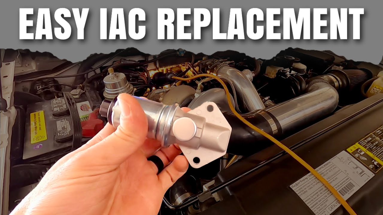 Replacing Iac Valve At Archer Nettlefold Blog