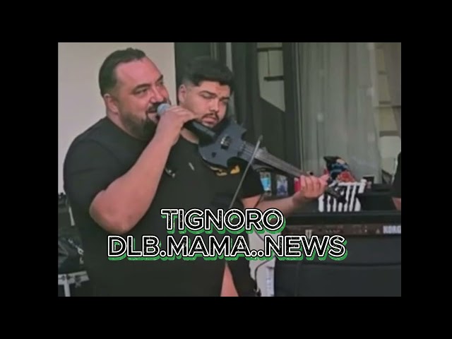 TIGNORO DLB. VEZI MAI FRATE CUM STA TREABA