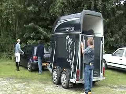 Horse Joy 1 Youtube