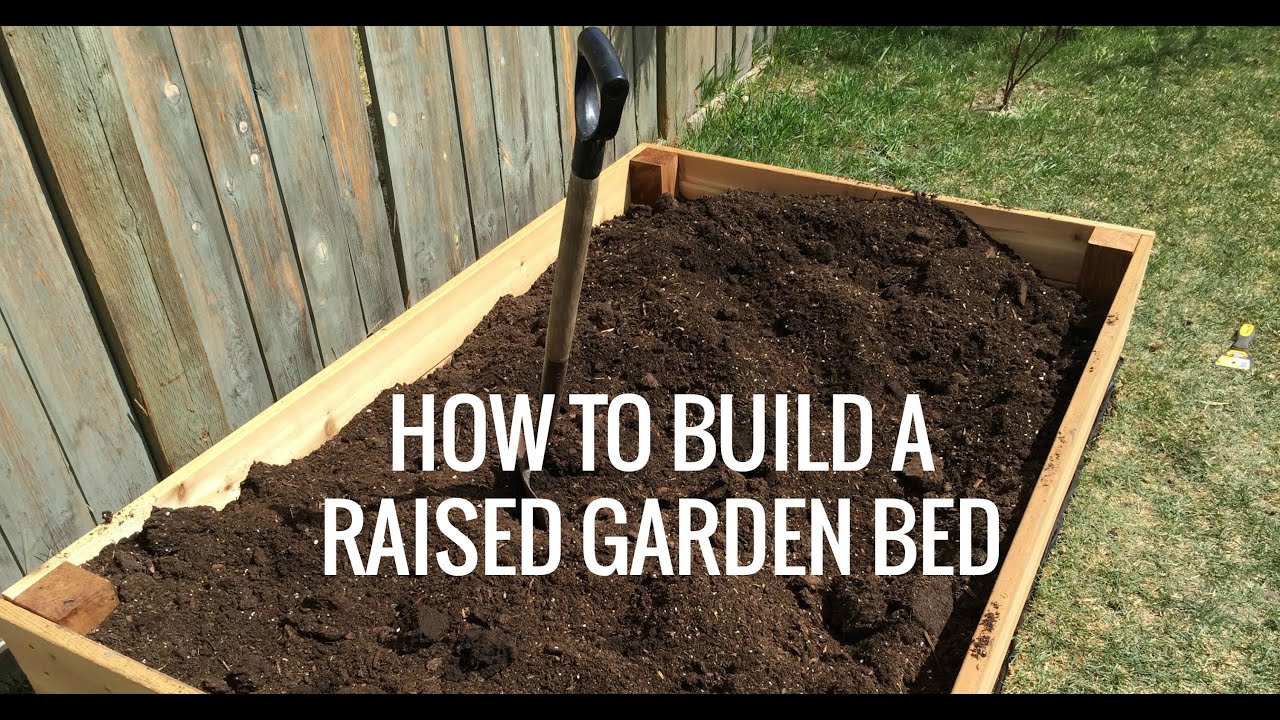 How To Build A Raised Garden Bed Youtube