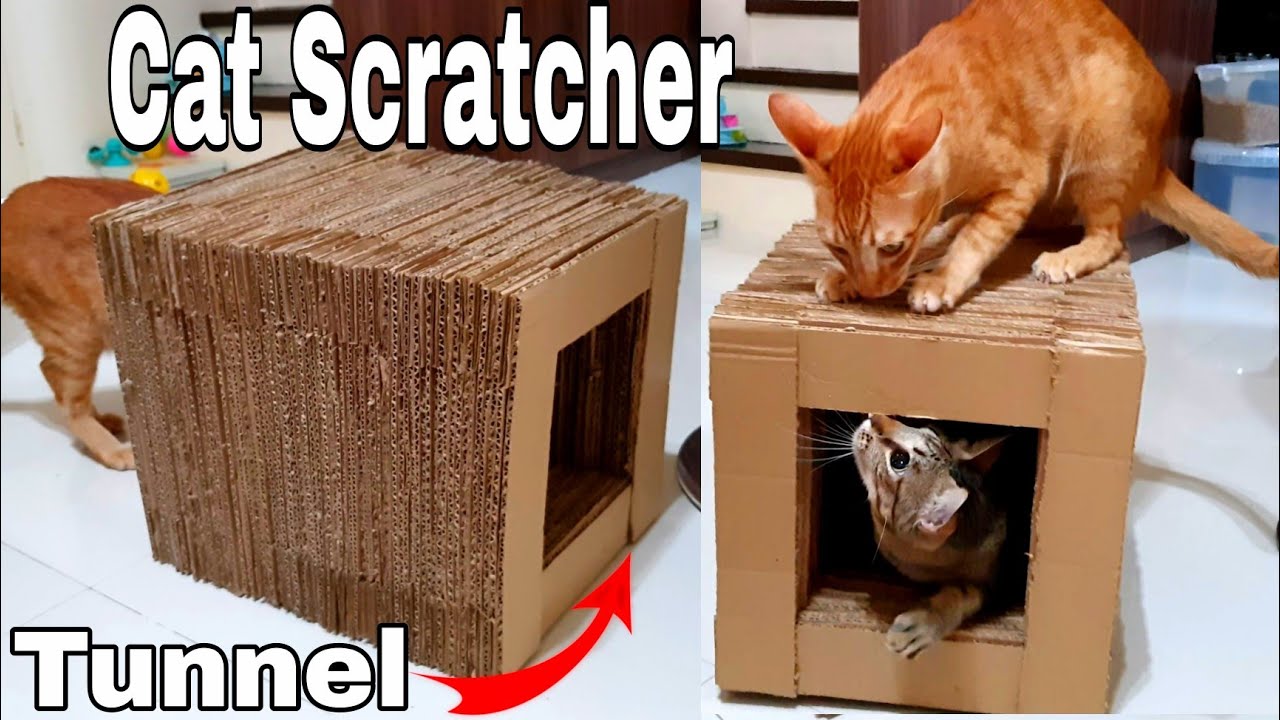 How To Make Cat Scratcher For Free Tunnel Youtube