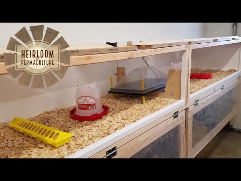 Building A Custom Brooder Chickens And Quail Heirloom Permaculture