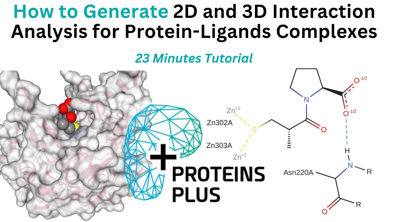 How To Generate 2d And 3d Interaction Analysis Images For Protein