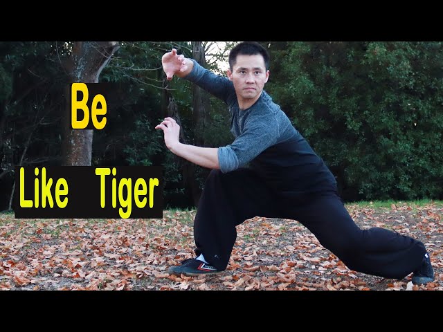 Kung Fu Tiger Style Shaolin Tiger Style Kung Fu Colour Men S T Shirt