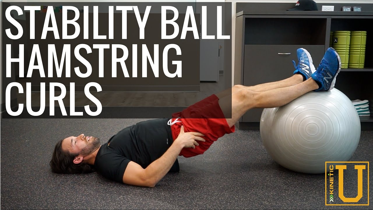 Stability Ball Hamstring Curl Lying Supine Stability Ball Bridge To
