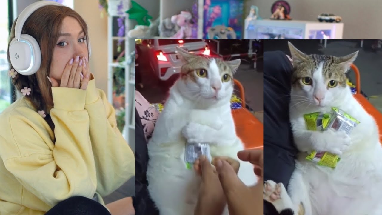 Funniest Internet Clips Reaction Youtube
