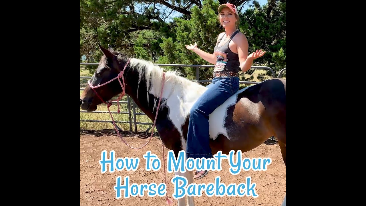 How To Mount Your Horse Bareback Youtube