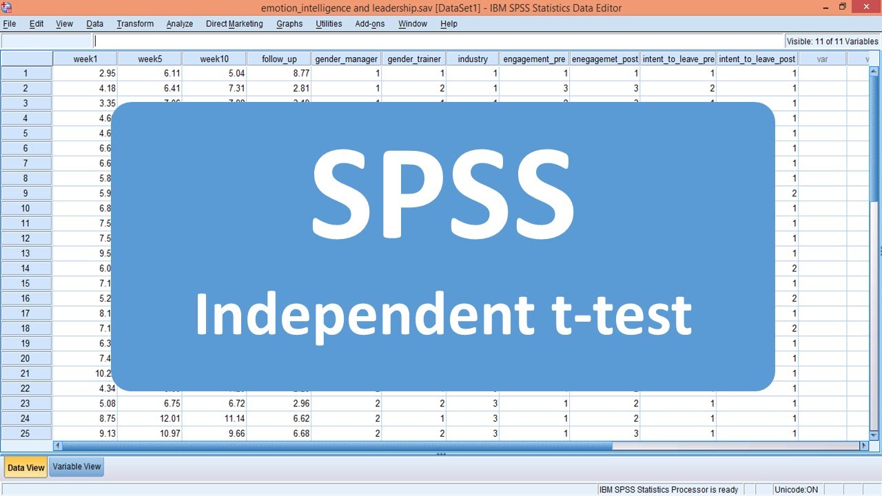 Independent T Test Spss Example 1 Youtube