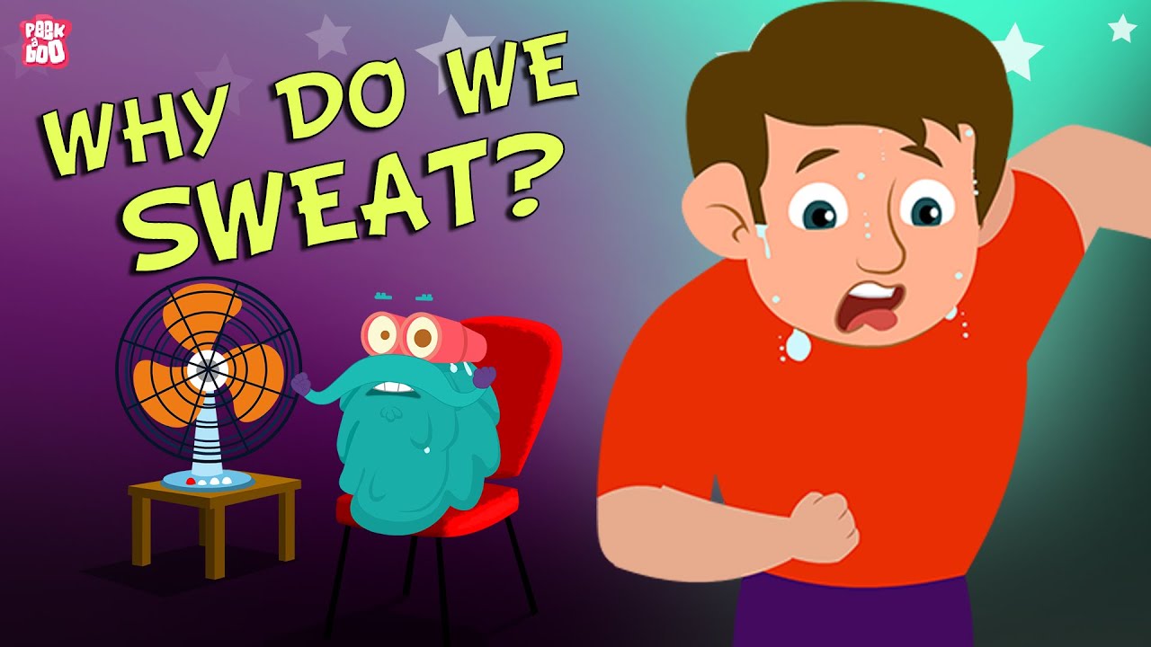 Why Do We Sweat The Dr Binocs Show Best Learning Videos For Kids