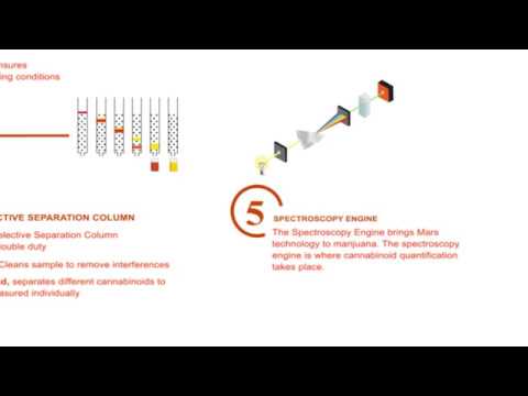 How Lightlab Works Youtube