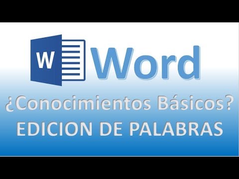 Conocimientos Basicos De Word Youtube