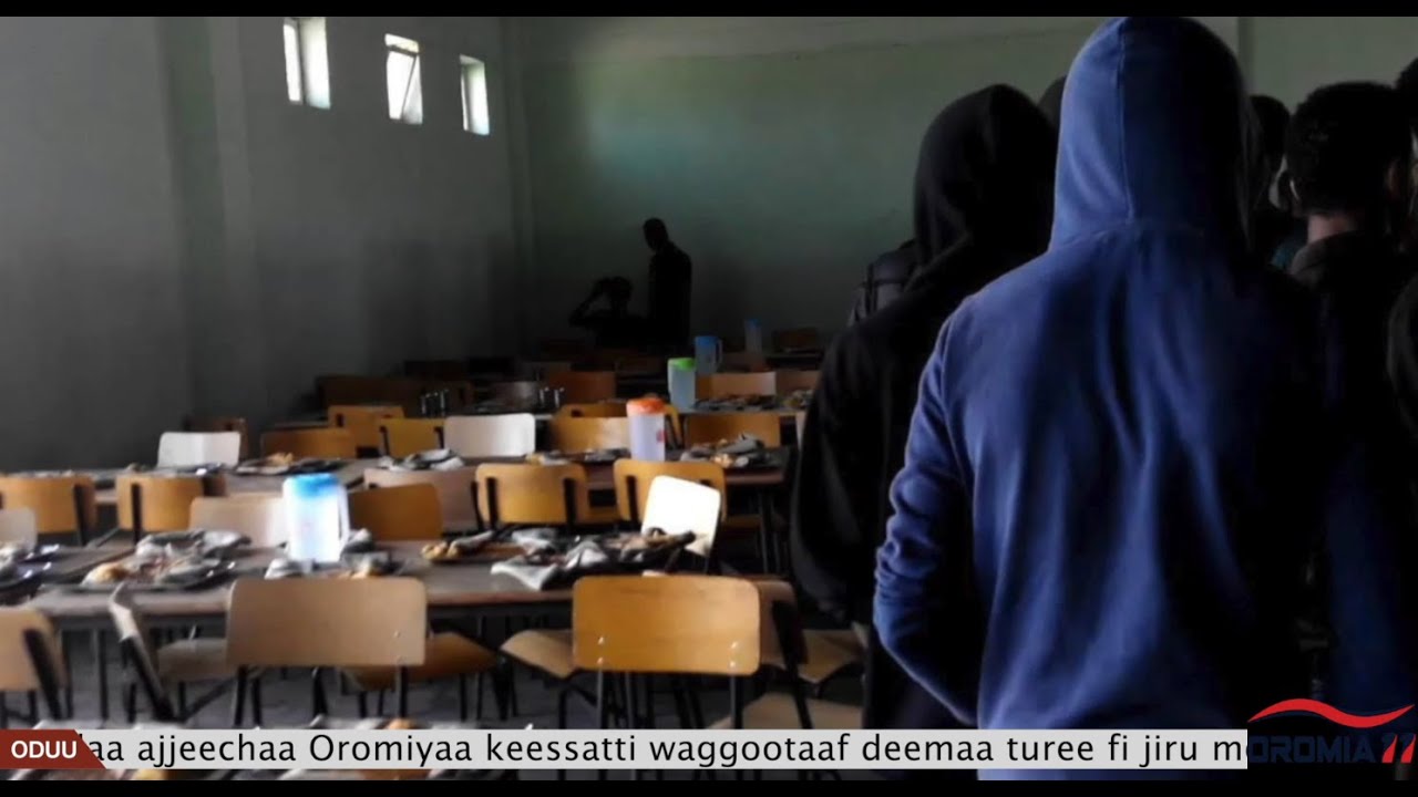 Oromia11 Oduu 5 6 2024 Youtube
