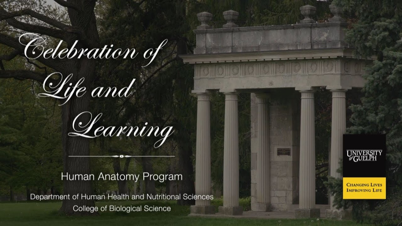 Human Anatomy Program Litdamer