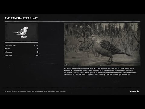 Red Dead Redemption 2 Compêndio Animais Ave Canora Escalarte Perfeita