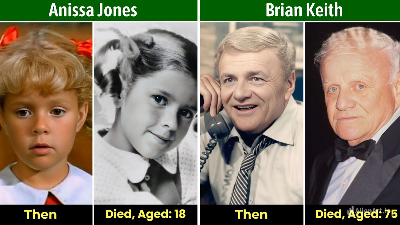 Family Affair 1966 1971 Cast Then And Now Youtube