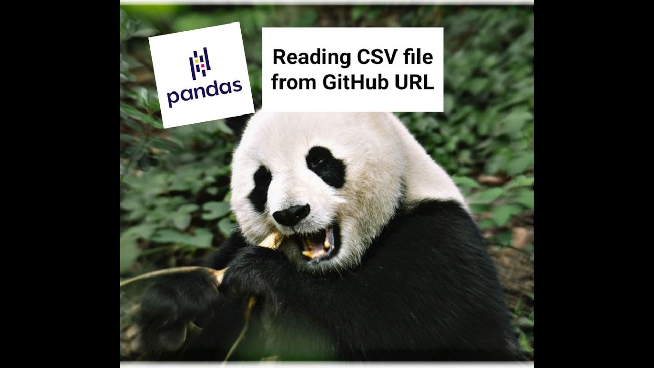 Reading Csv File From Github Url And Storing As Pandas Dataframe Youtube
