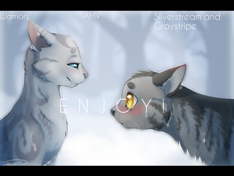 Warriors Amv Silverstream X Graystripe Youtube
