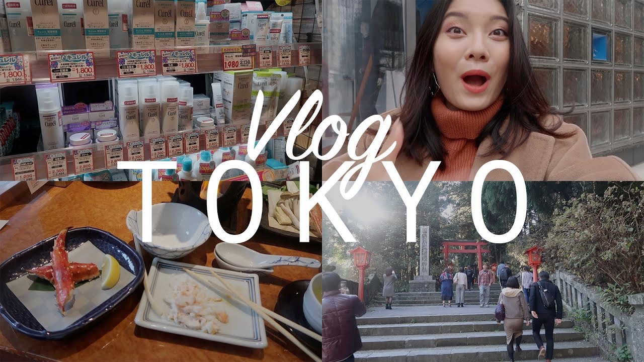 Tokyo Japan Vlog Part 2 Youtube