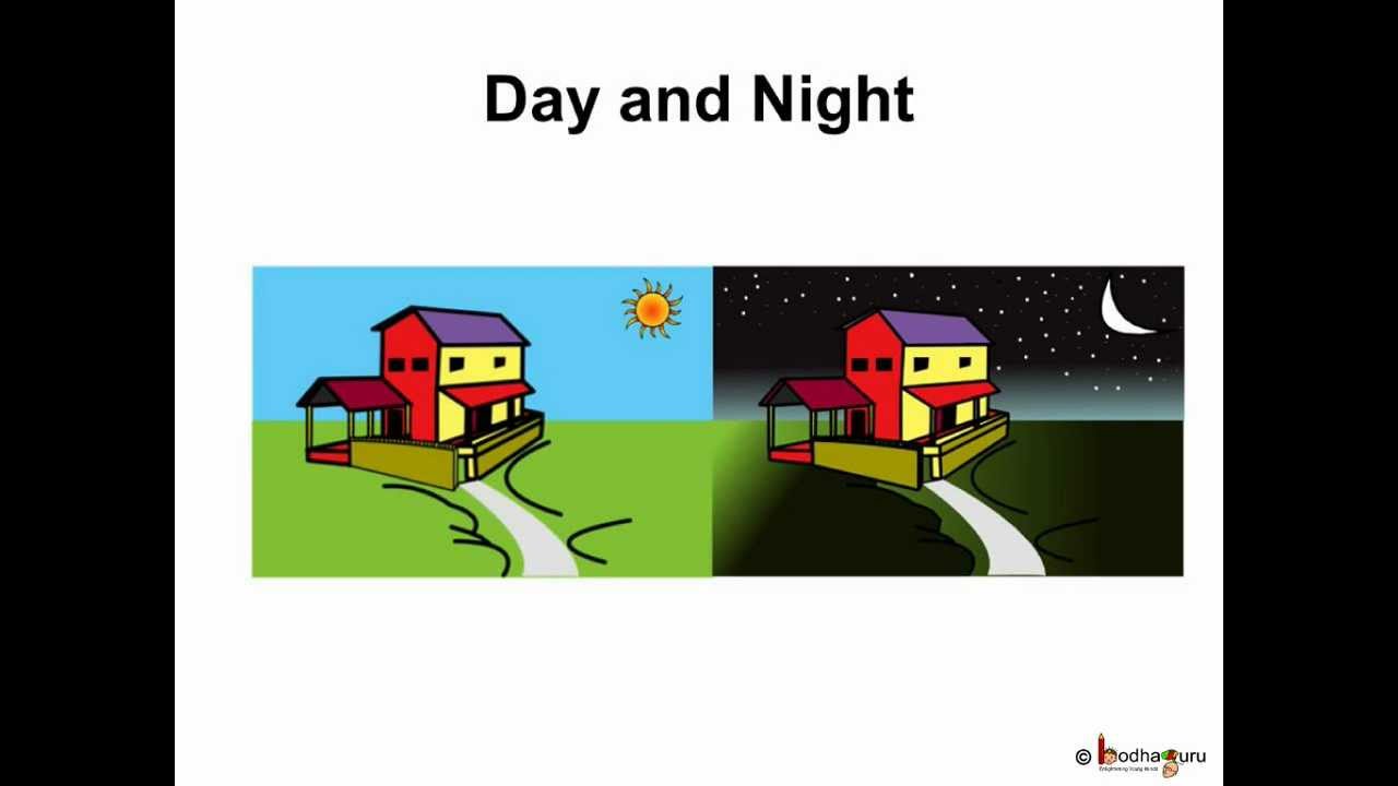 Science Sources Of Light Advanced English Youtube