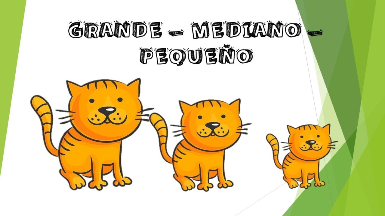 Matemática Grande Mediano Y Pequeño Youtube