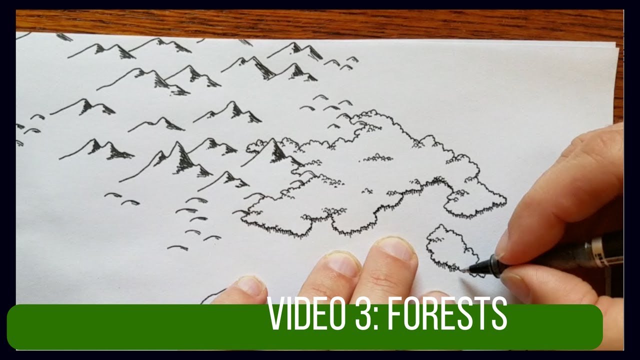 Realistic Forest Drawing