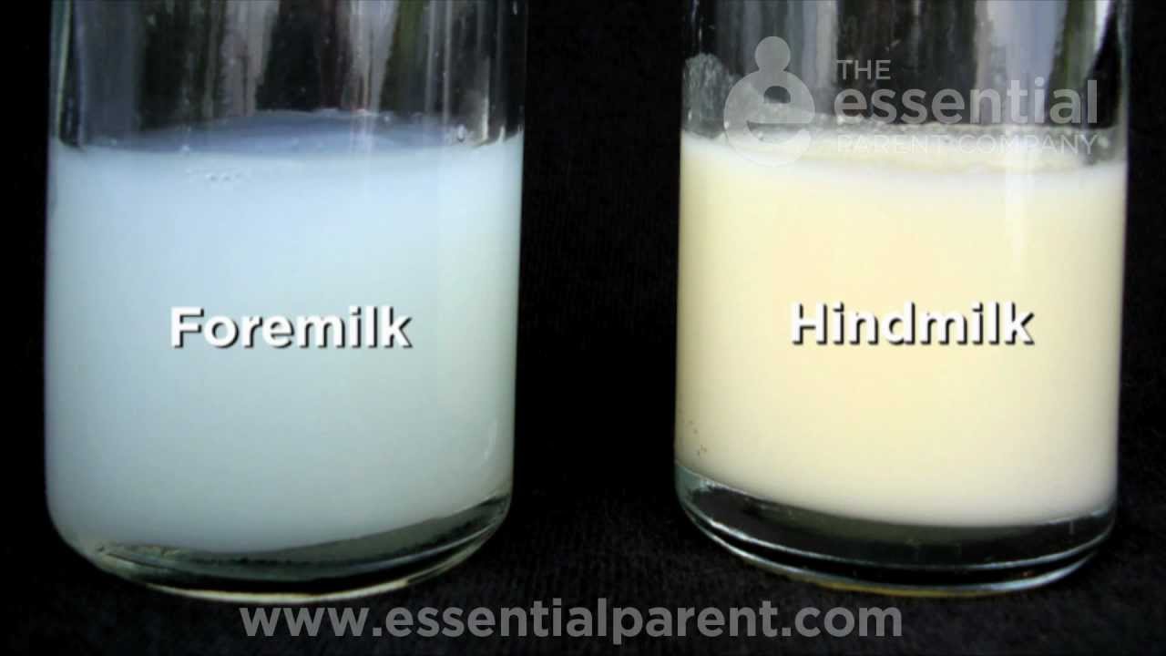 Breastmilk And The Difference Between Colostrum Foremilk Hindmilk