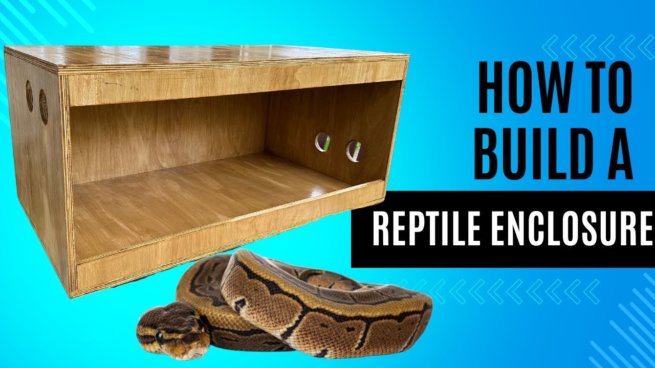 How To Build A Ball Python Enclosure Diy Youtube