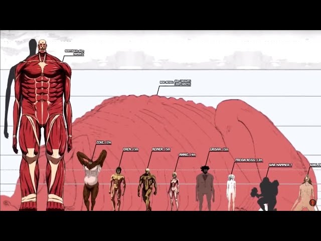 Rod Reiss Titan Size Comparison