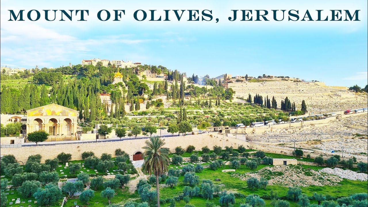 View From Mount Of Olives