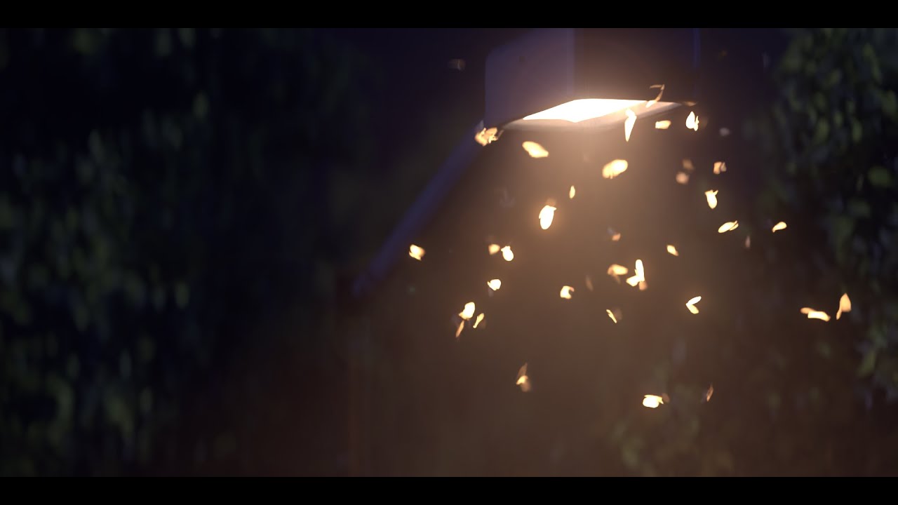 Blender Product Moth Generator Youtube